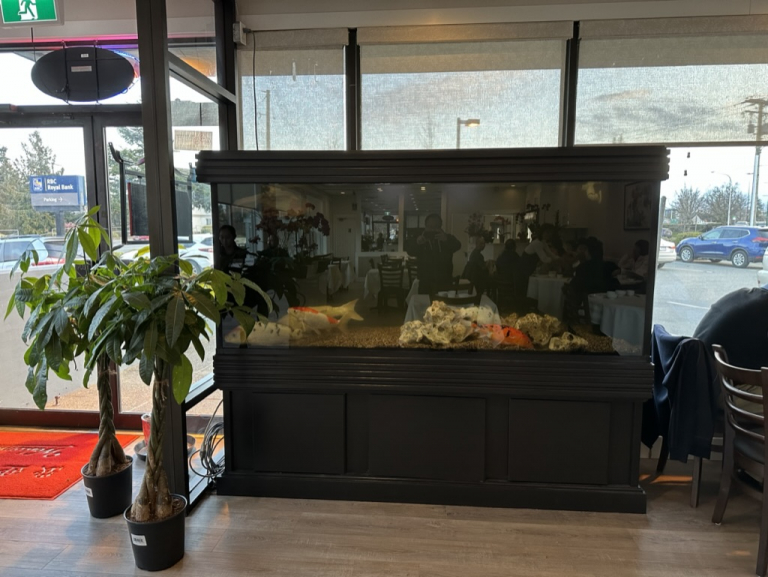 Toishan Kitchen Home - Toishan Kitchen - 台山小厨
